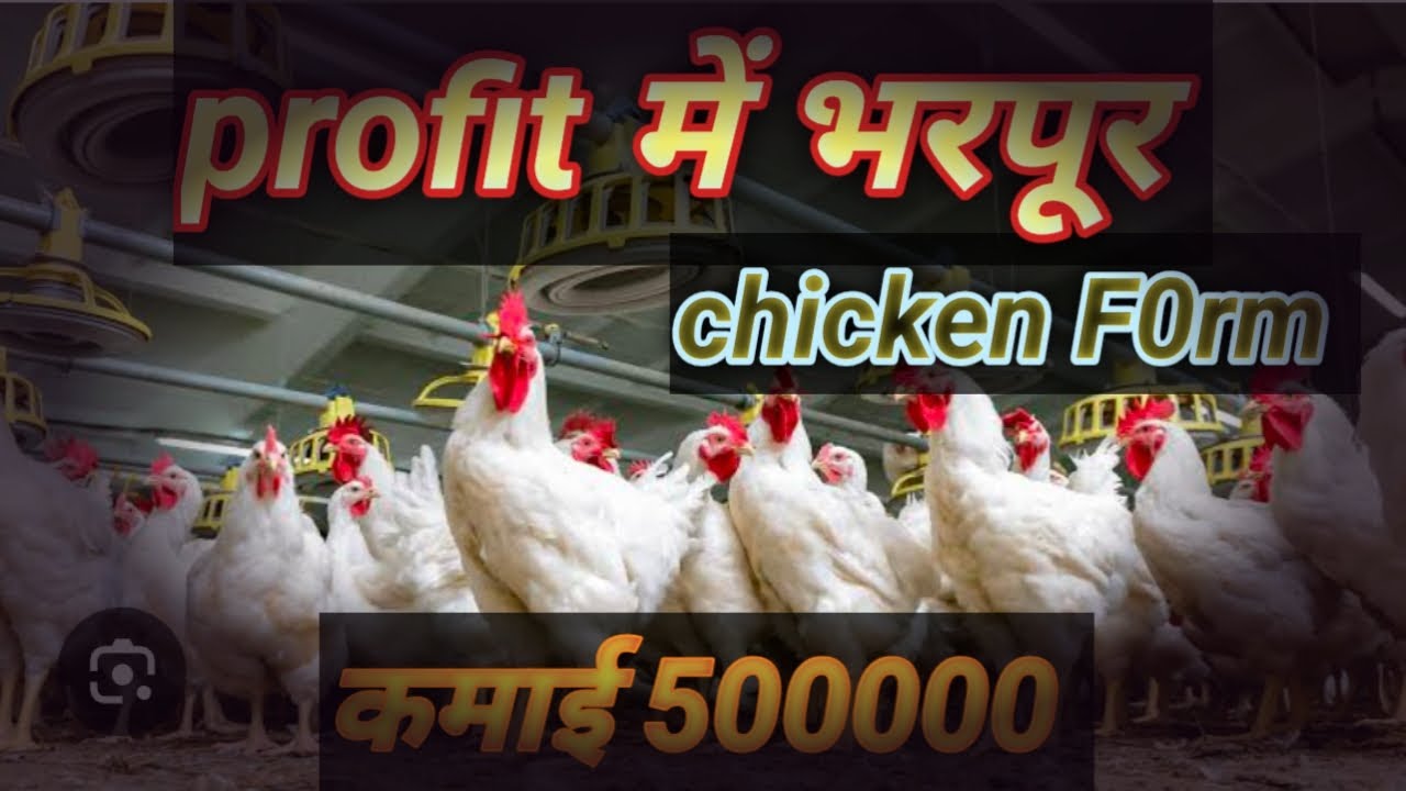 Chicken Forming ll Karnatka ll India #poetry #chicken #forming - YouTube