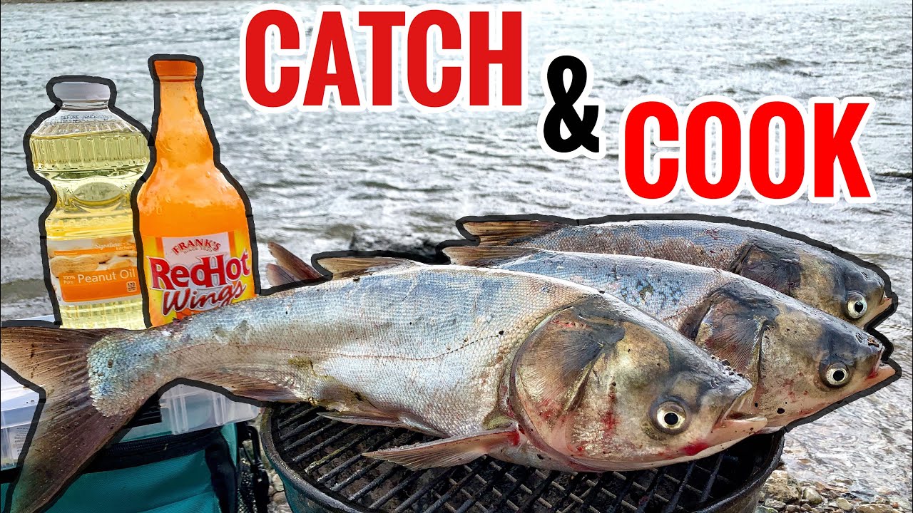 Eating INVASIVE FISH!! - Asian Carp Catch & Cook!! - YouTube