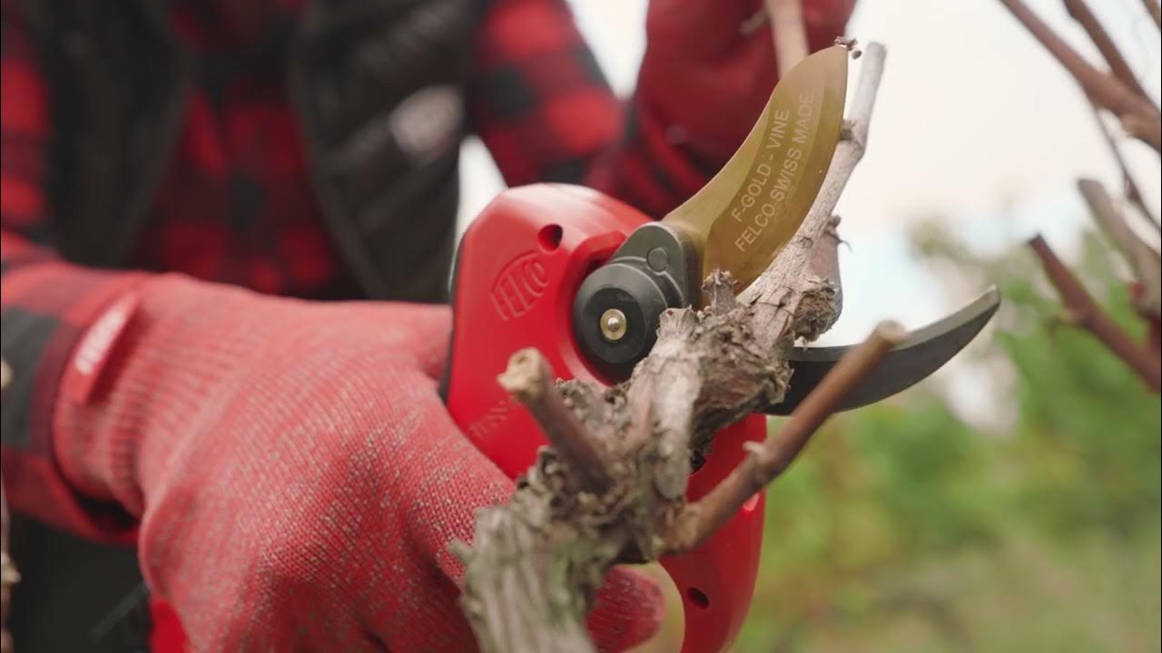 FELCO 834 Product Video - YouTube