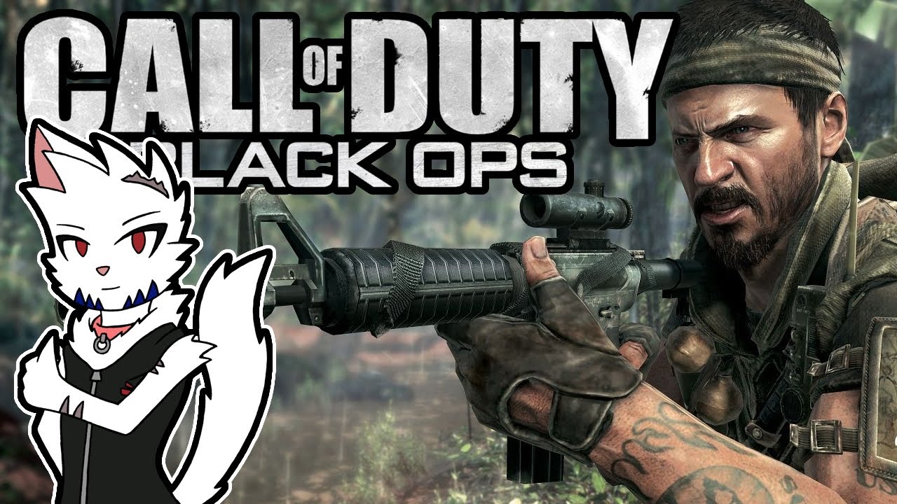 THE NUMBERS...WHAT DO THEY MEAN - [[Call of Duty: Black Ops]] - YouTube