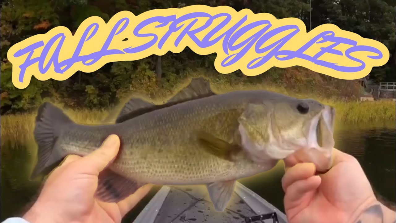 Fall Struggle Is Real (Bass Fishing October) - YouTube
