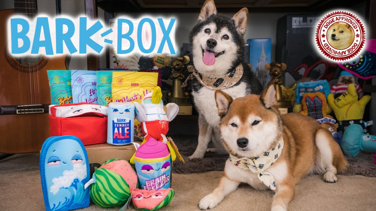 Unboxing the August 2019 BarkBox - The Dog Daze (Double Deluxe Box ...
