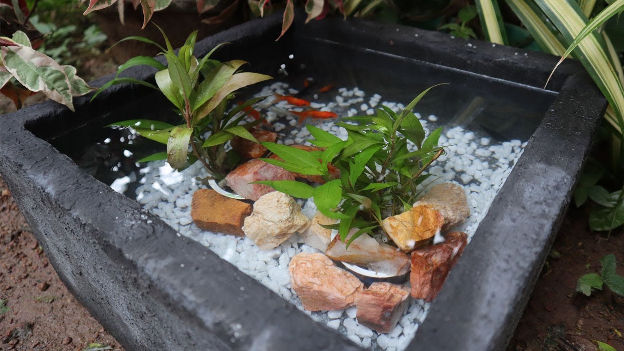 Fish Tank Making Videos at Tracy Swiderski blog