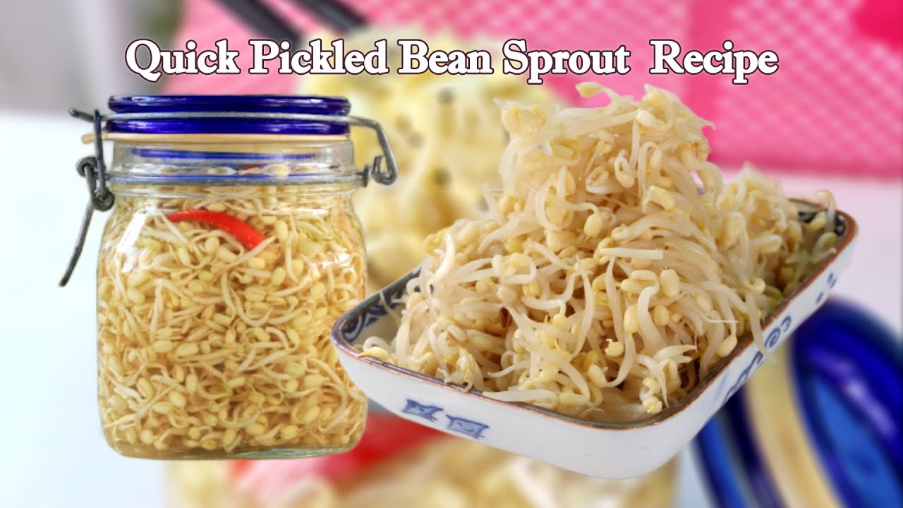 [English SUB] Bean Sprout Pickled Recipe | How to Cook Bean Sprout ...