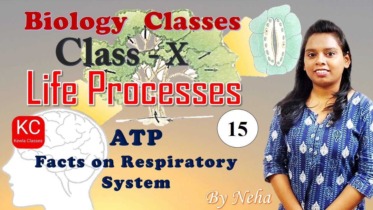 Biology - Class X - Life Processes - Respiratory System Facts - ATP ...