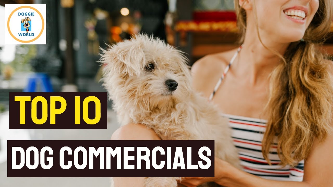 Top 10 Funny Dog Commercials - Best Cute Dog Ads Compilation - YouTube