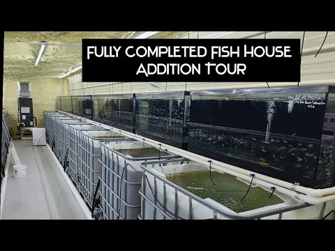 Fish House new Addition update. The last 75 gallons are setup and full ...