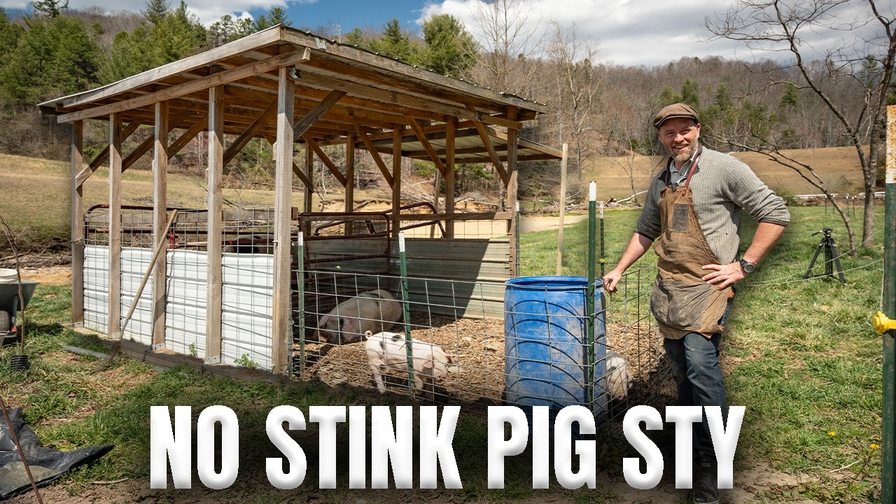 Finally, A Pig Stye that Doesn’t Stink + Gives Compost - YouTube