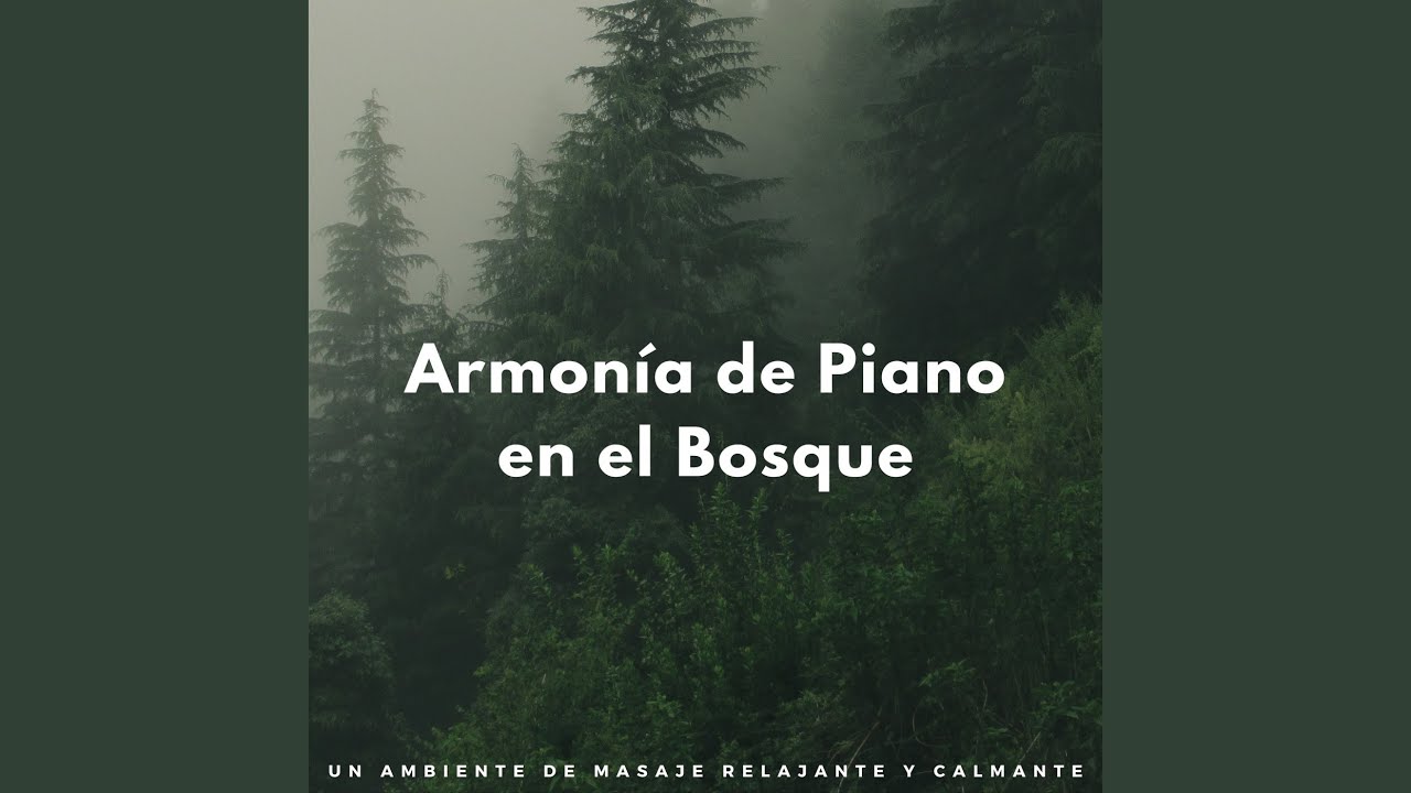 Ambiente Armónico Y Relajante Del Bosque - YouTube