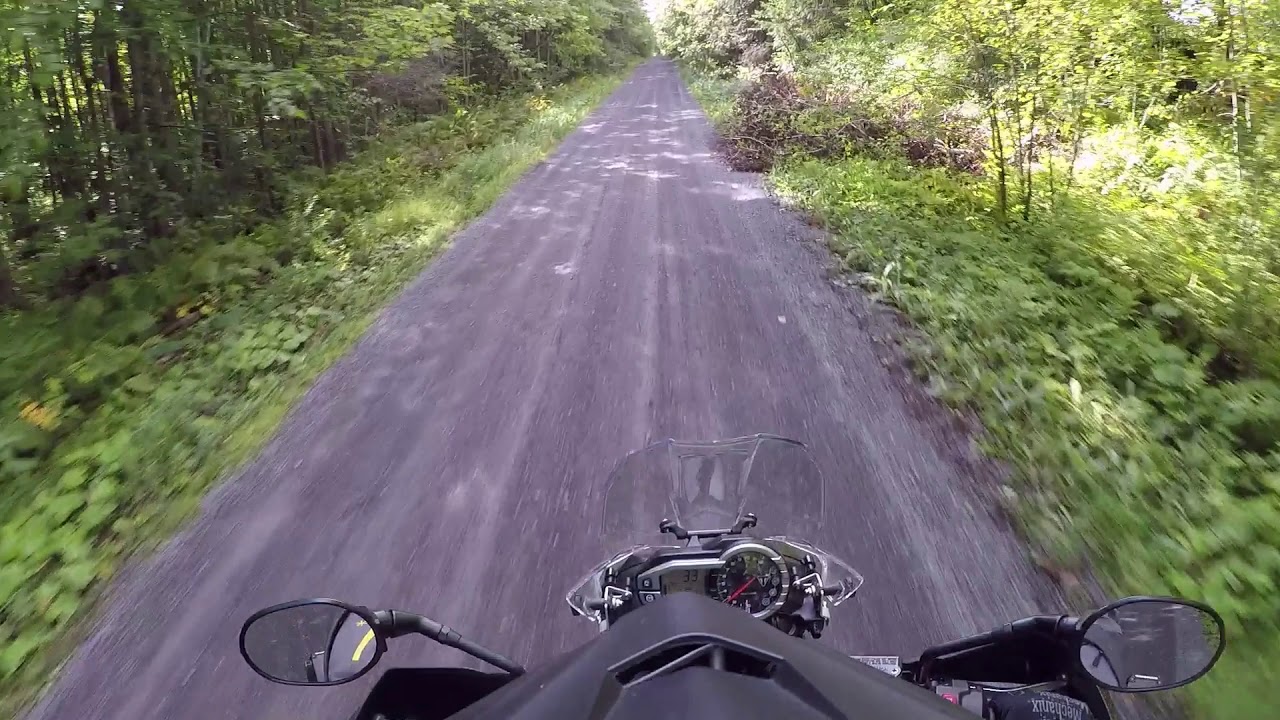 Forêt Larose Forest 2 - YouTube