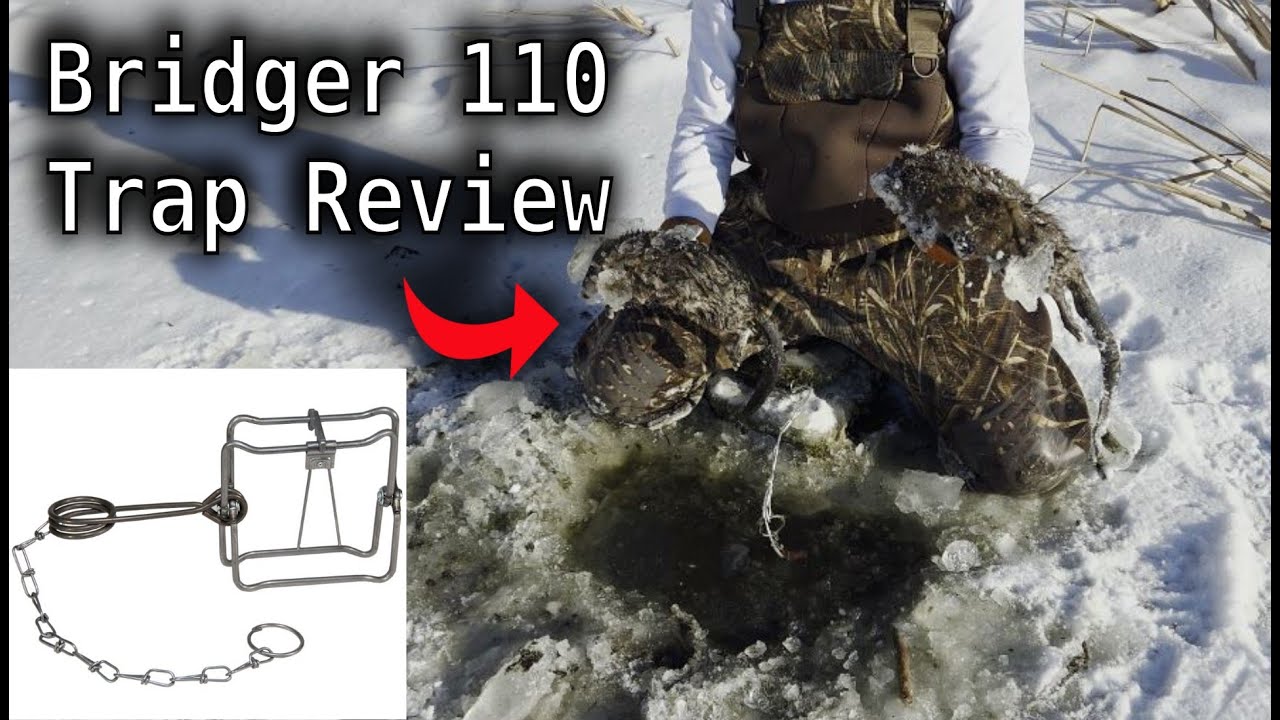 Bridger #110 Conibear Trap / Bodygrip Review - YouTube