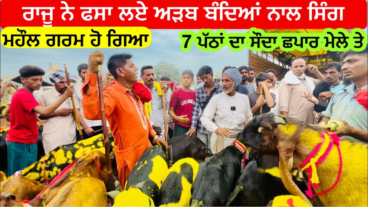 ਚਲਦੇ ਸੌਦੇ ਵਿੱਚ ਹੋ ਗਿਆ ਮਹੌਲ ਗਰਮ ||goat farming in Punjab |Mela Chappar ...