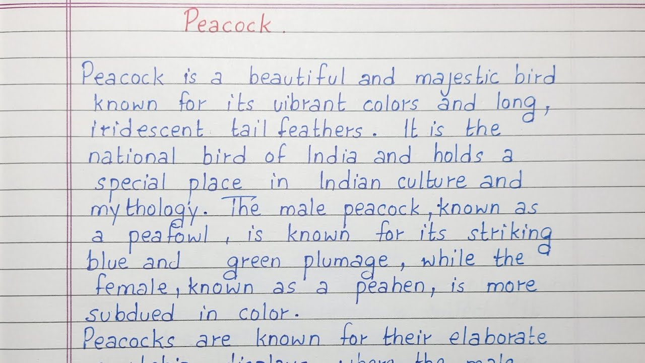Write a short essay on Peacock - YouTube