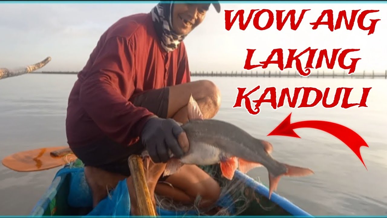 NAKAHULI TAYO NG MALAKING KANDULI ITO ANG HINAHANAP NG MGA BUMIBILI ANG ...