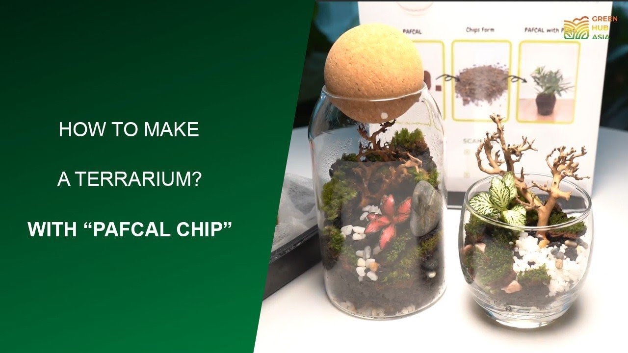 TERRARIUM WORKSHOP | How to make a Terrarium by pafcal? - YouTube