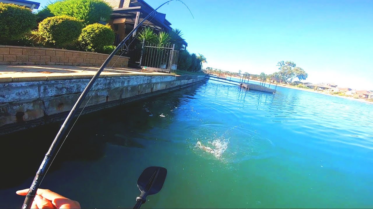 SURFACE FISHING: One of the BEST WAYS To Fish! - YouTube