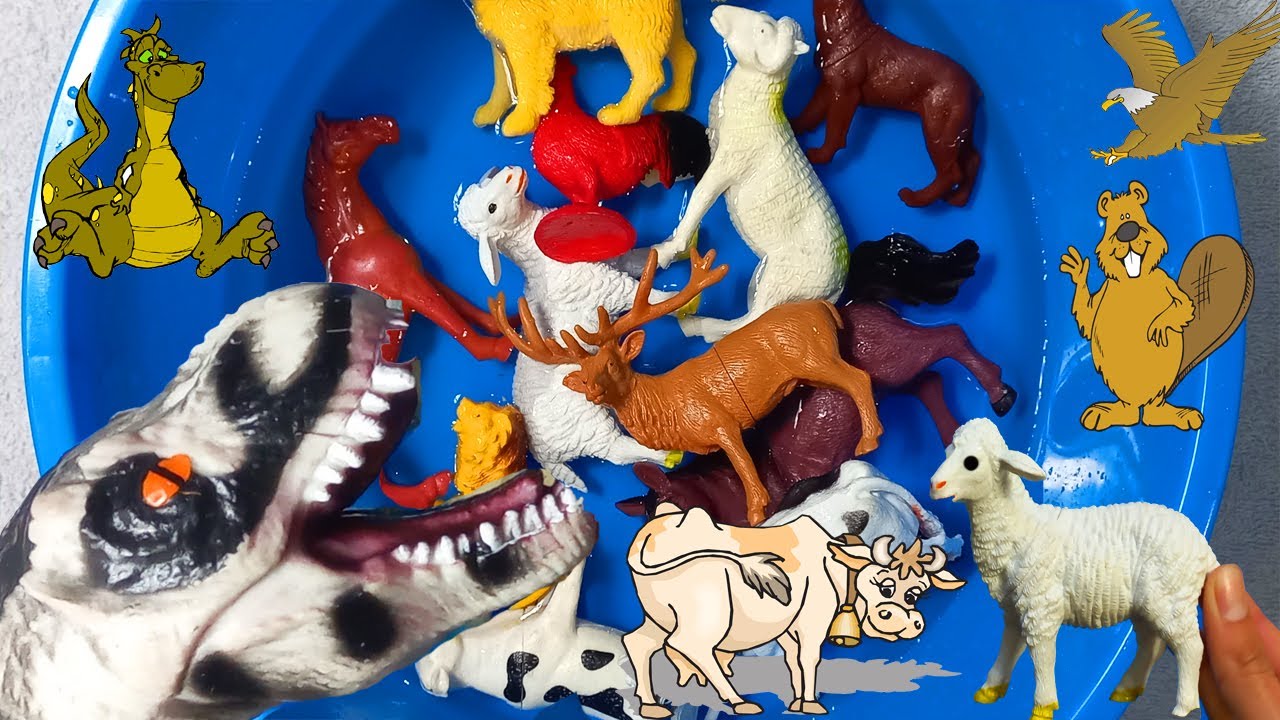 Learn Wild animals in English Lion, Snake,Bear, Rhino,Tiger,Buul ...