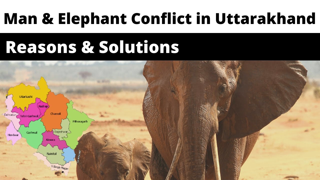 Man and Elephant conflict in Uttarakhand | Reasons and its solutions # ...