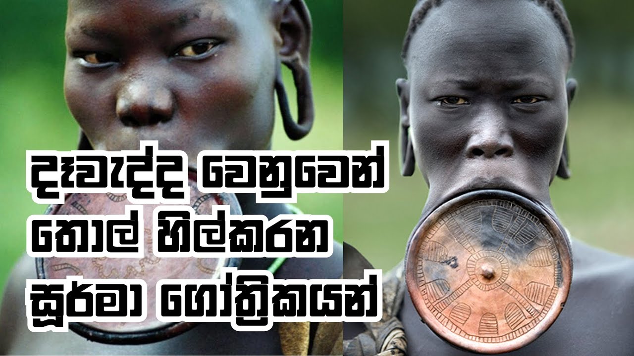 Surma Tribe Sinhala l සූර්මා ගෝත්‍රිකයන් සිංහලෙන් - YouTube
