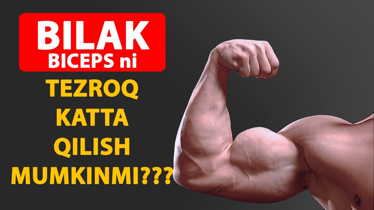 Bilak (Biceps) ni katta qilish dasturi | Boshlang'ich mashqlar! - YouTube