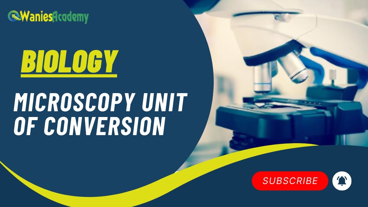 Wanies Academy Biology Microscopy Unit of Conversion - YouTube