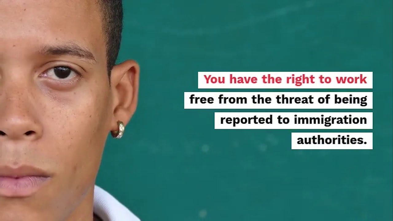 Commission Releases Legal Guidance on Immigration Status and National ...