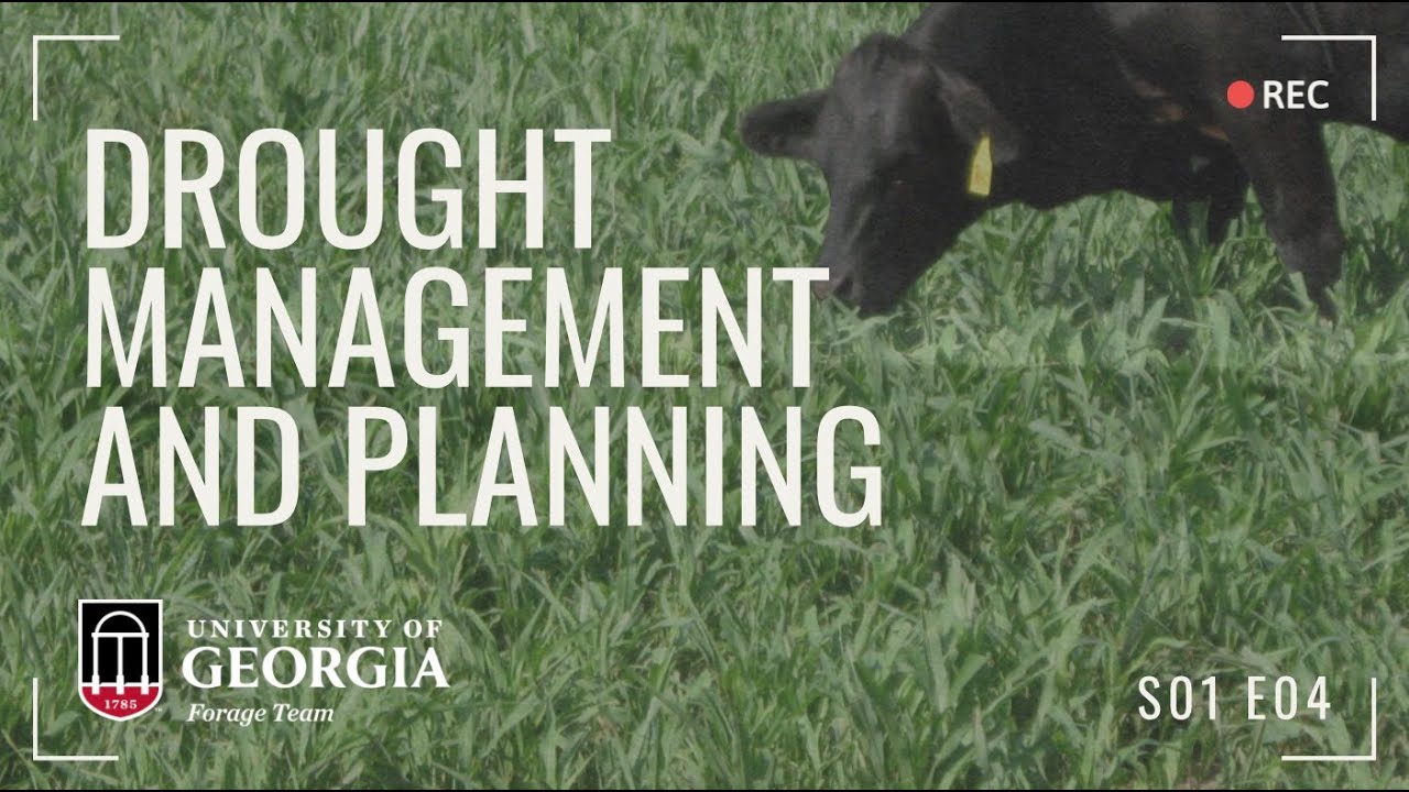Drought Management and Planning - YouTube