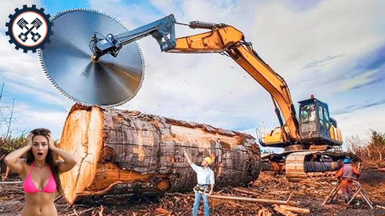 101 Jaw-Dropping Most Dangerous Big Logging Skills | Heavy Equipment ...