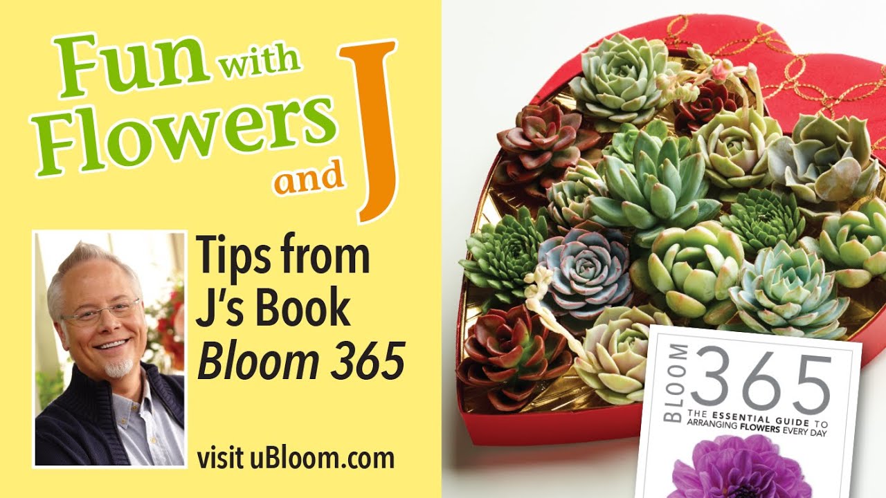 Tips from Bloom 365 - YouTube