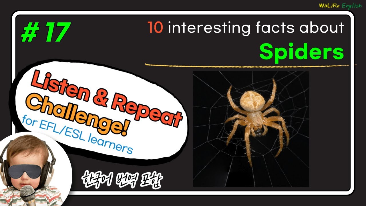 #17 Spiders: Listen and Repeat Challenge,Test: 10 English sentences ...