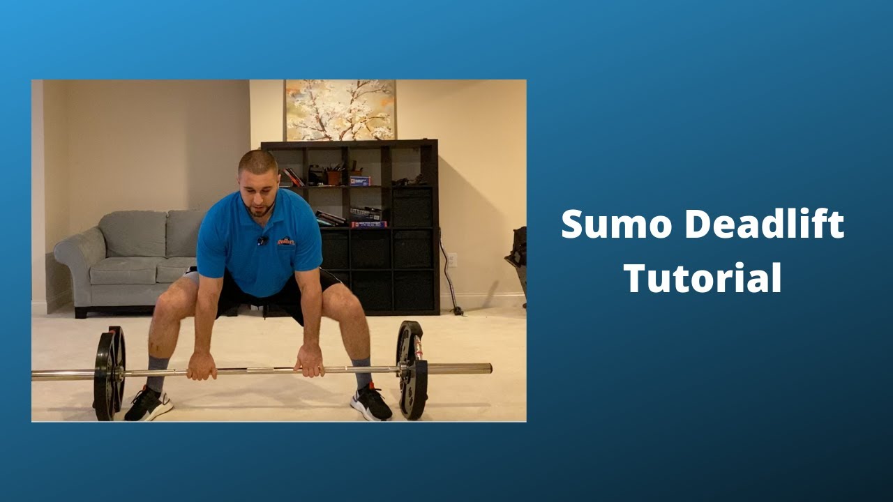 Sumo Deadlift Anatomy