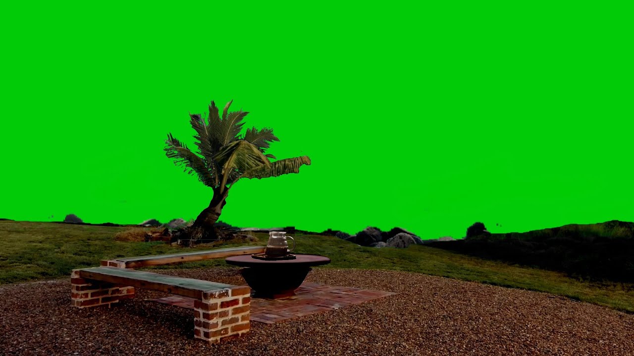Green screen video backgrounds coconut nature - YouTube