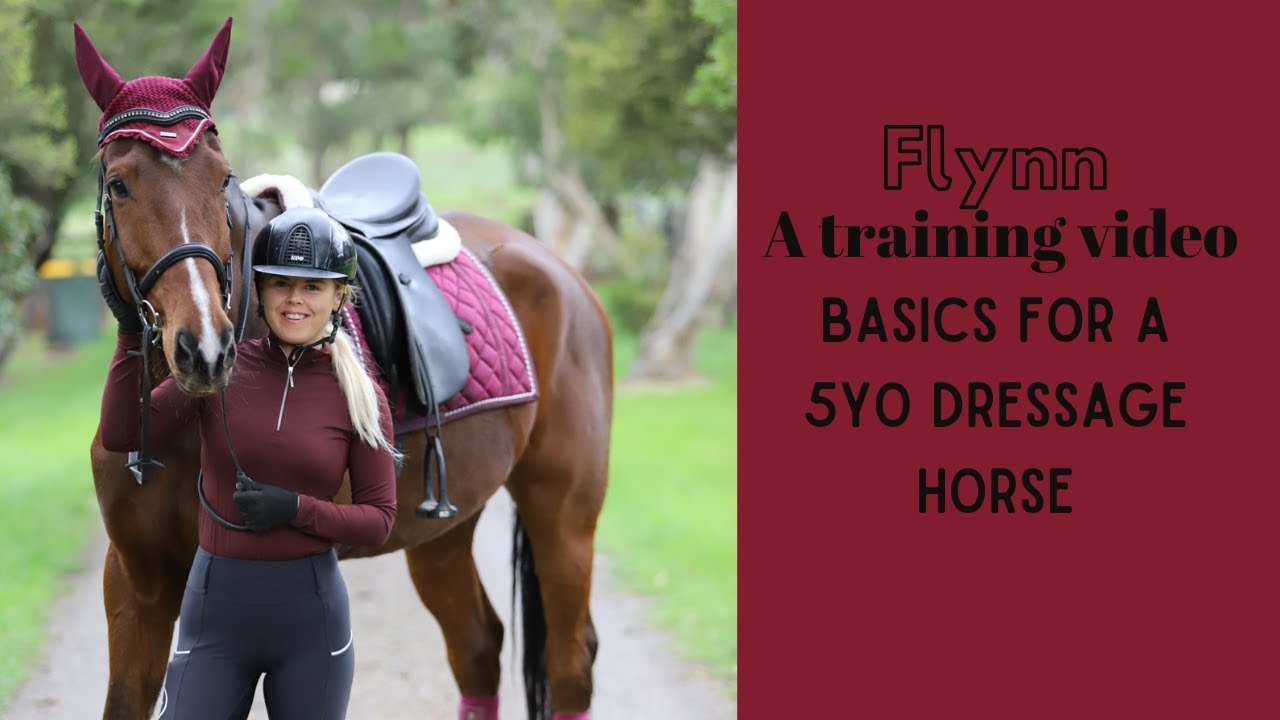 Ben riding young dressage sales horse "Flynn" for a training session ...