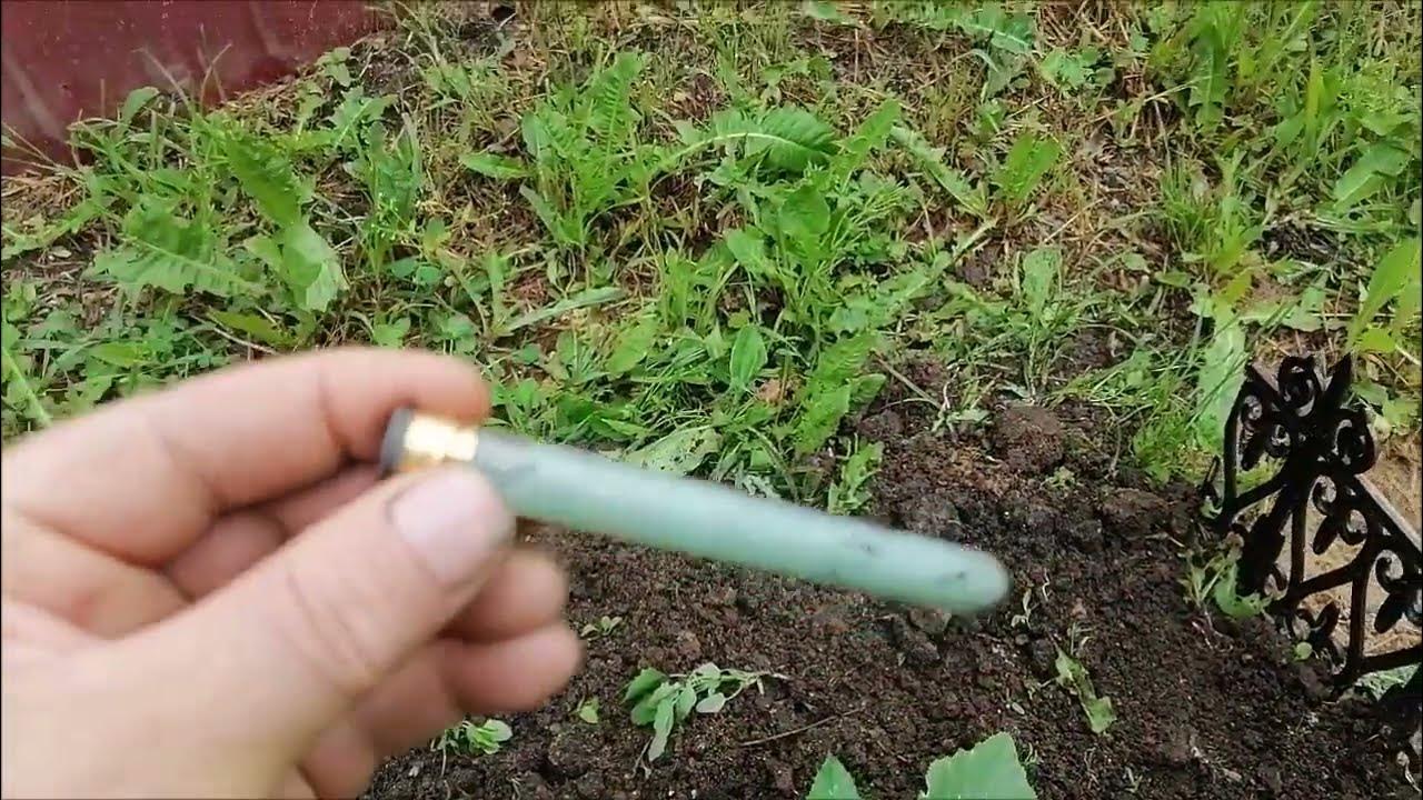 Стимулятор роста растений ГИДРОПЛАЗМА - YouTube