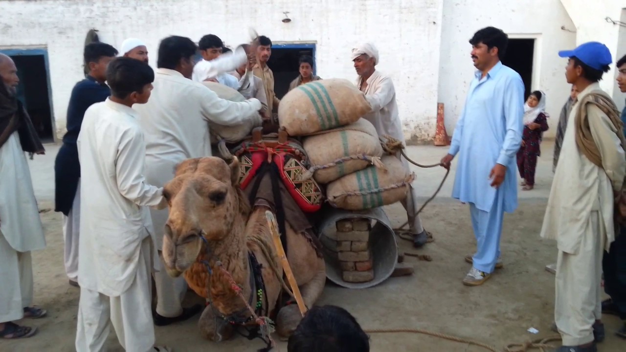 December 21, 2016 - YouTube