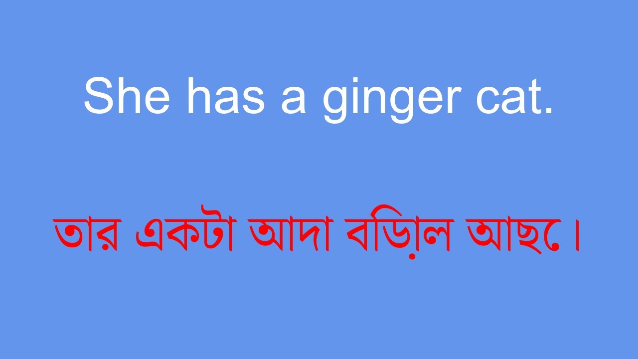 50 short phrases you must know to learn Bengali - YouTube