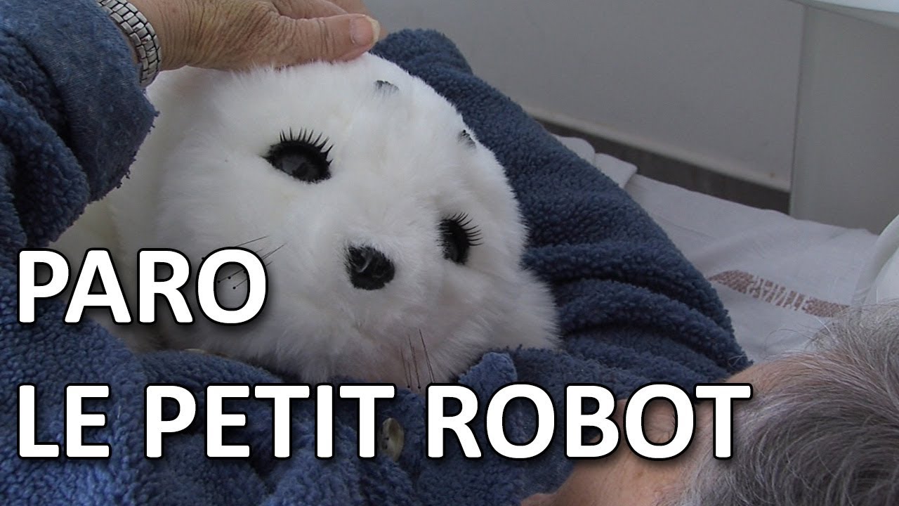 Paro le petit robot : une peluche pour diminuer stress et anxiété en ...