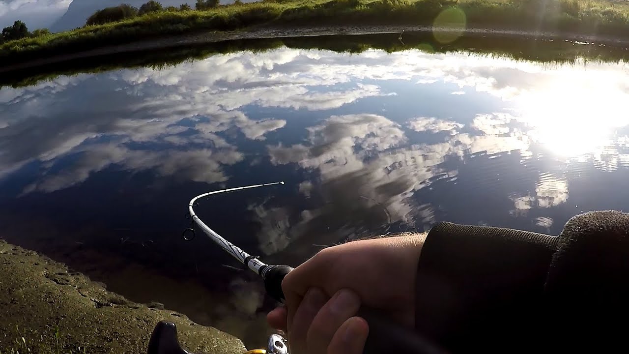 Northern Pikeminnow At A New Spot - YouTube