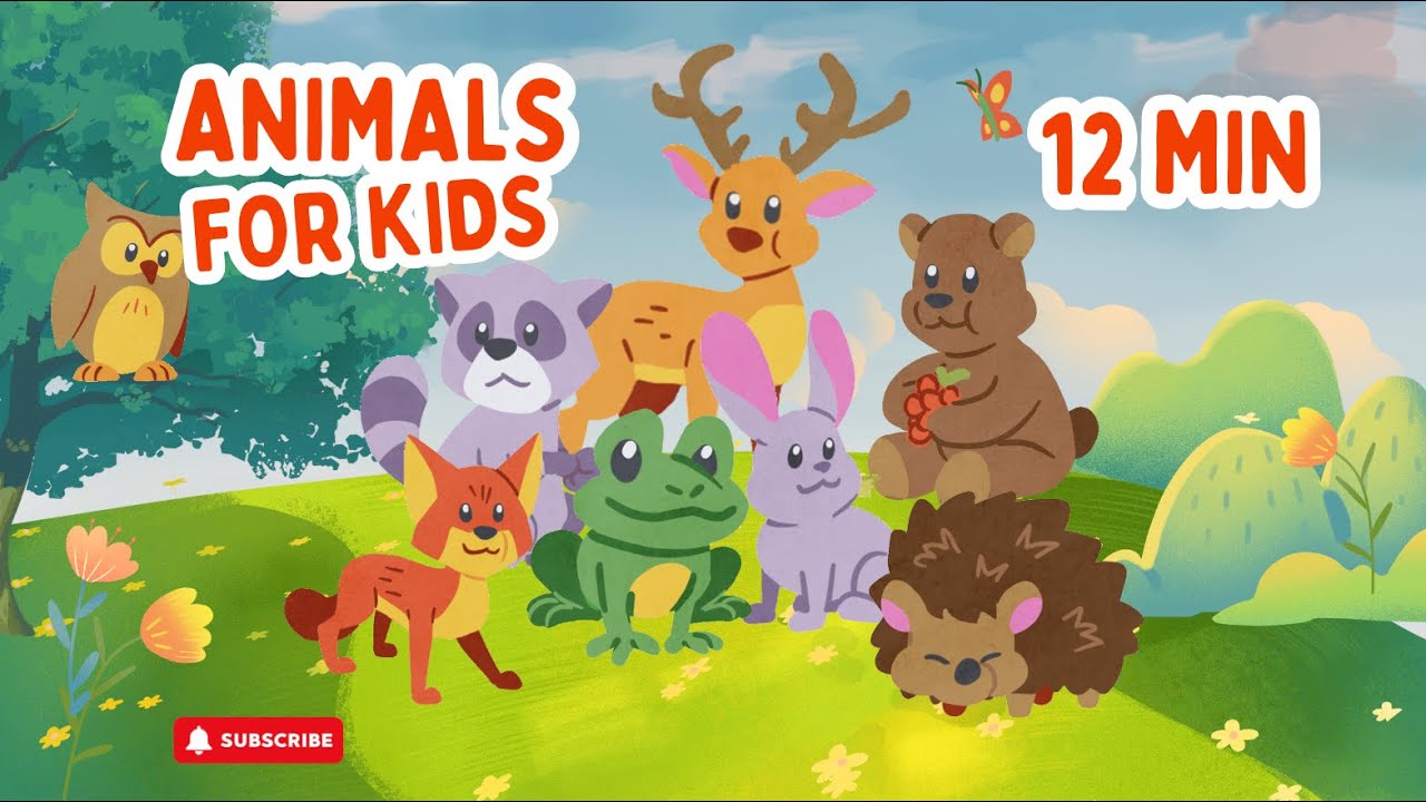 AMAZING Animals for Kids - Getting to Know Real Animals! - YouTube