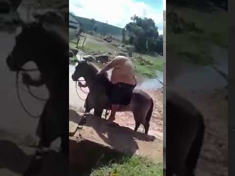 Super Obese Man Tries to Ride a Horse - YouTube