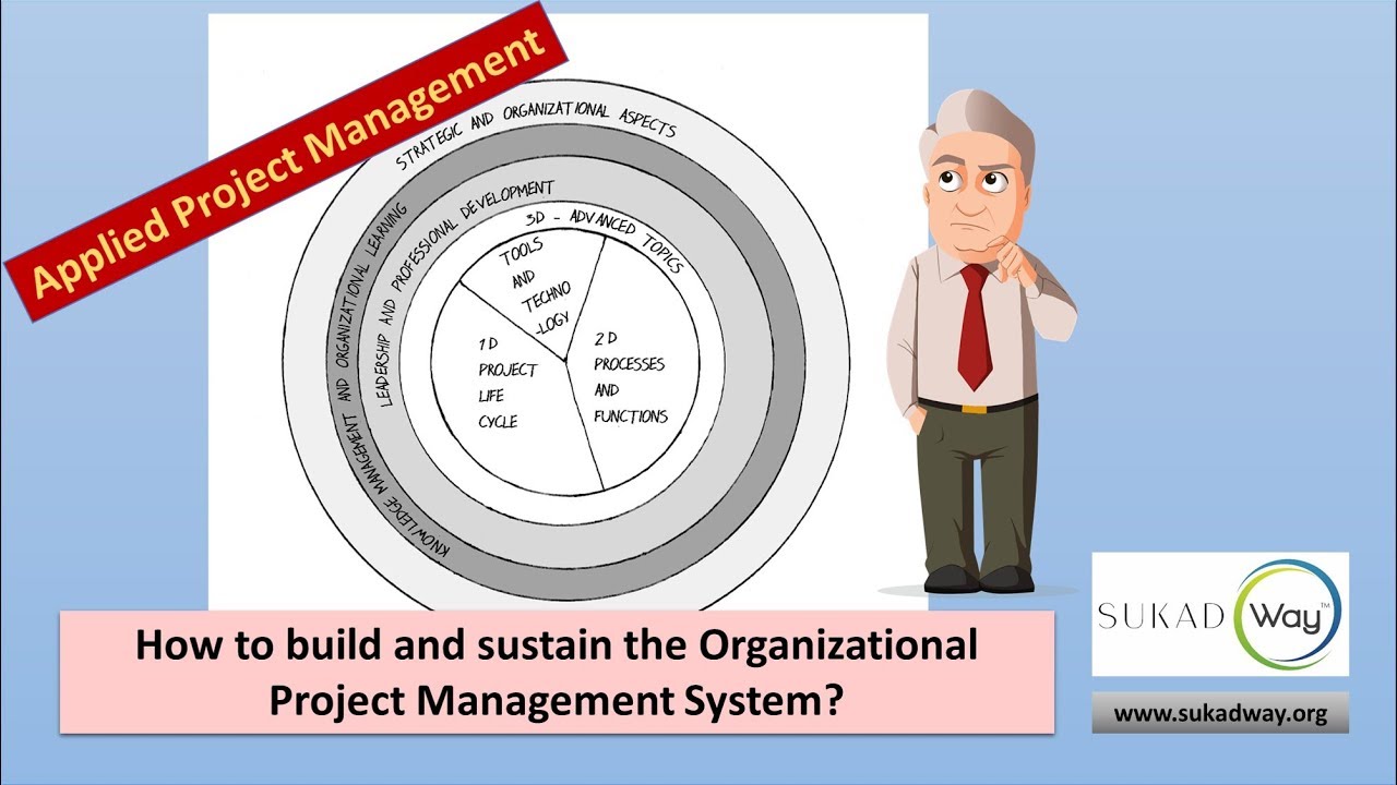 How to build and sustain the organizational project management system ...