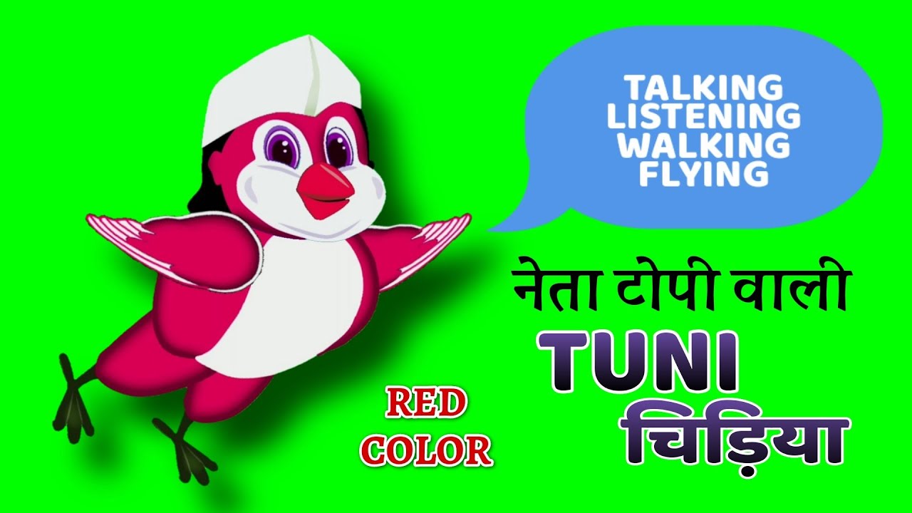 नेता टोपी वाली टुनी चिड़िया | Tuni chidiya | cartoon character | green ...