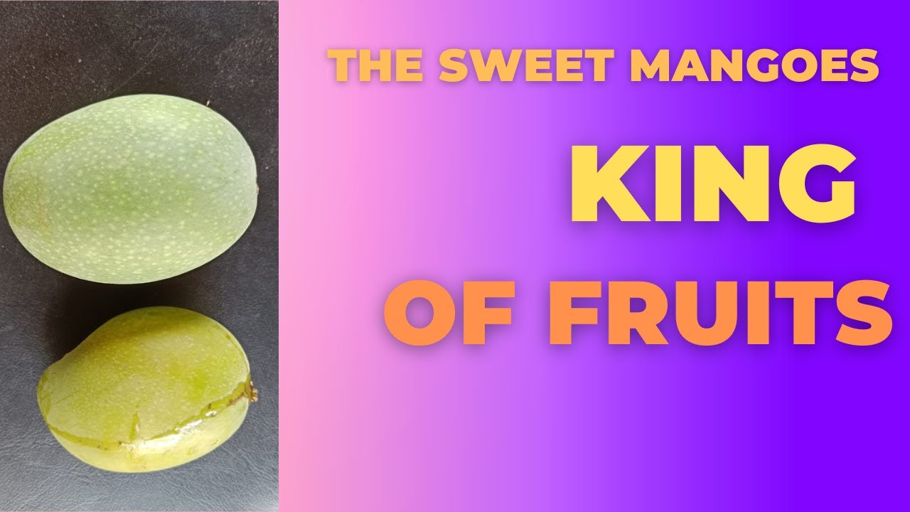 The Sweet Mangoes (King of Fruits) - YouTube