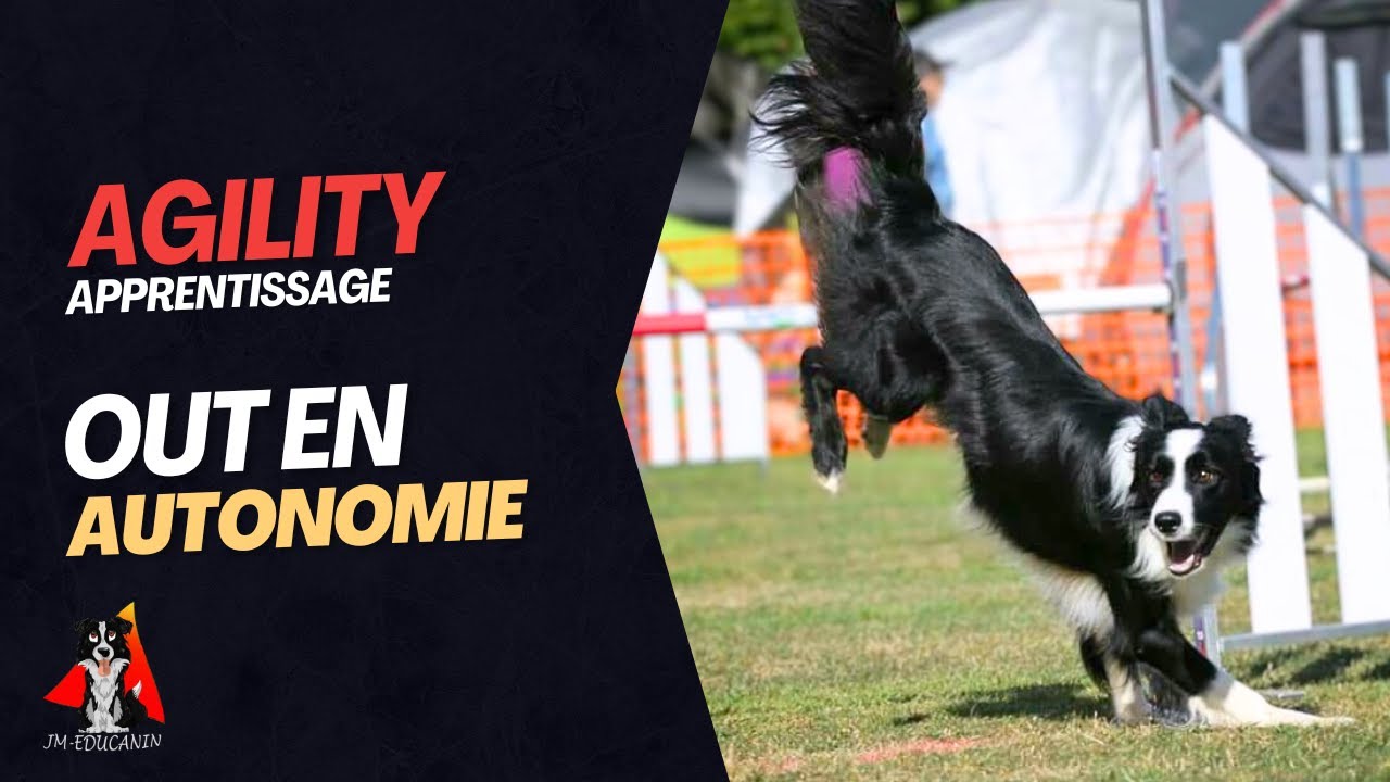 Agility out - YouTube