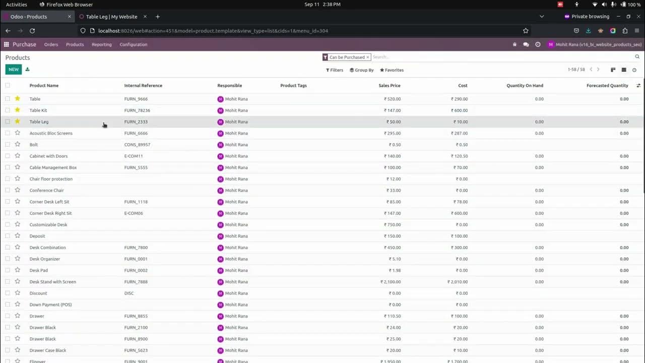 How to Optimise eCommerce website in Odoo | Basic SEO Tool for eCommerce Odoo App - YouTube