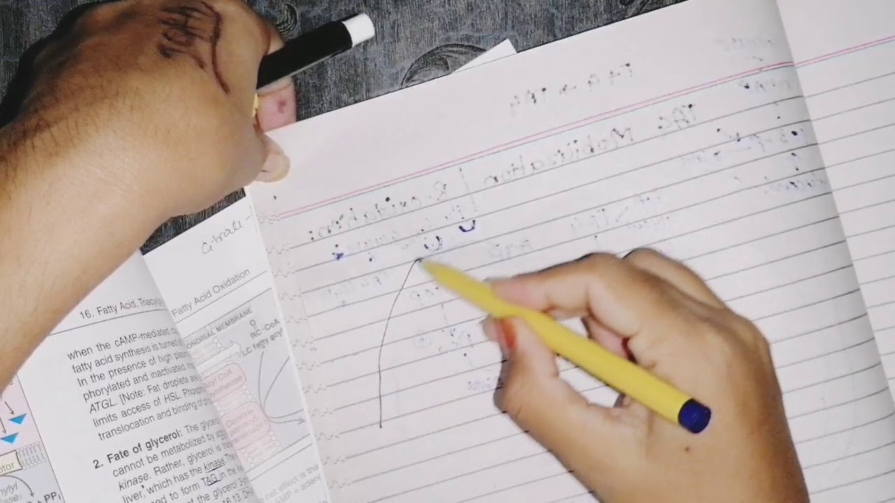 TAG Mobilization / Beta oxidation / lipid metabolism #biochemistry ...