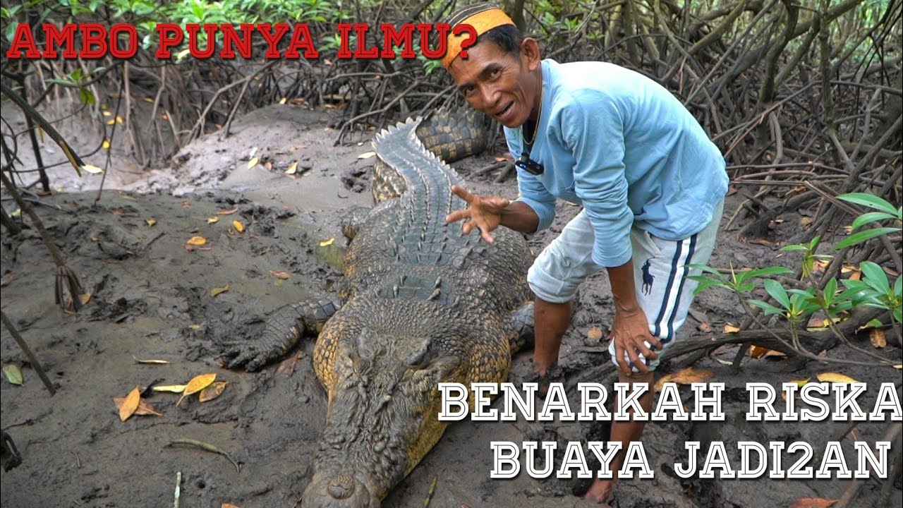 APA ILMU AMBO TAKLUKAN RISKA RISKA BUAYA JADI-JADIAN - YouTube