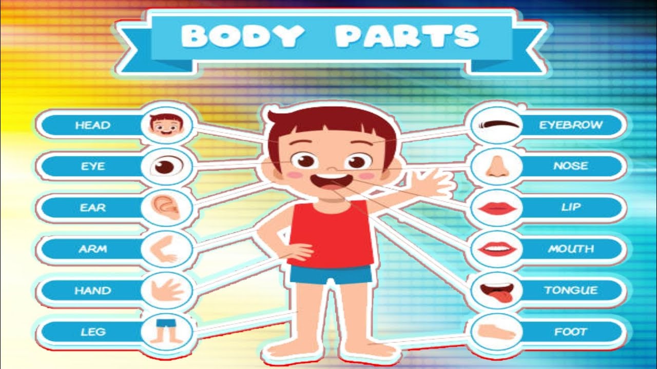 Fun and Educational Kids Video - Learn Body Parts Names with Playful ...