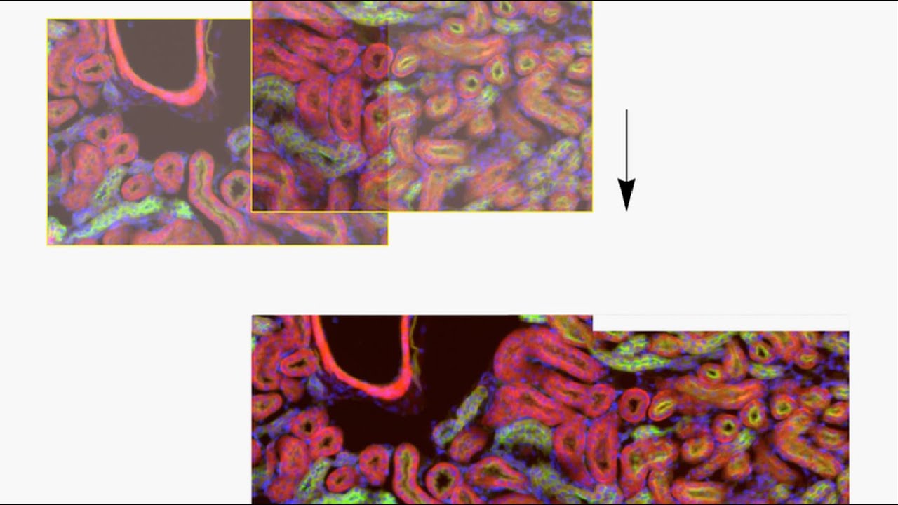 Inner Working of ImageStitch: Image Registration, Projection and ...