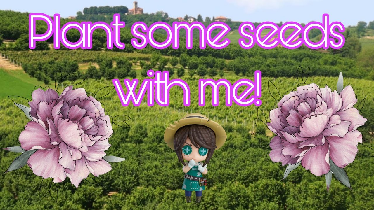 Plant some seeds with me! But don't make this huge mistake I did. 😂🤣😂 ...